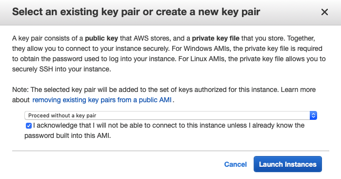 Launching the Worker Node Instances in AWS